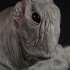 Cloverfield, l'action figure da collezione | Il CineManiaco